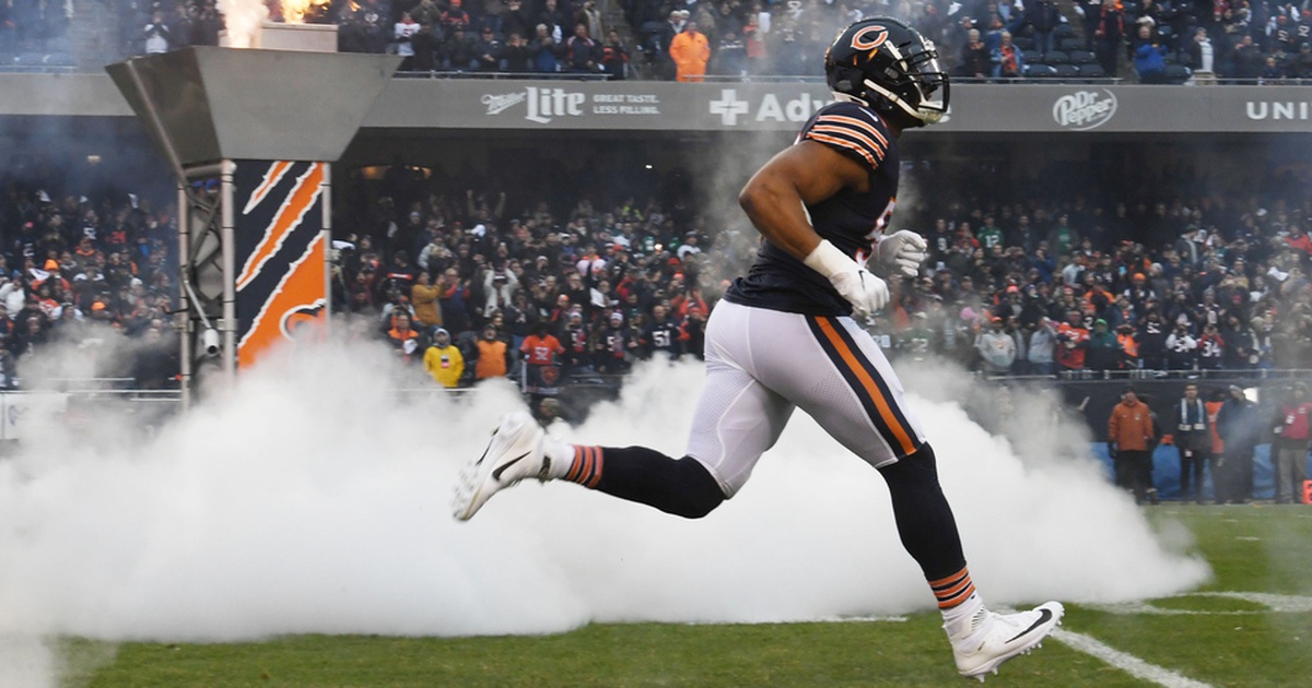 SportsBlog :: The Whole 10 Yards :: Bears Roaring into 2019
