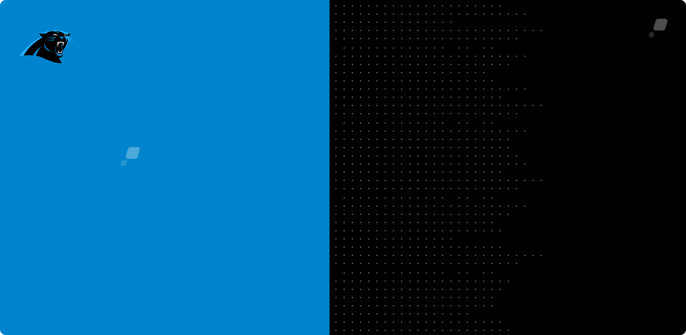 SportsBlog :: Carolina Panthers News and opinion on Sportsblog.